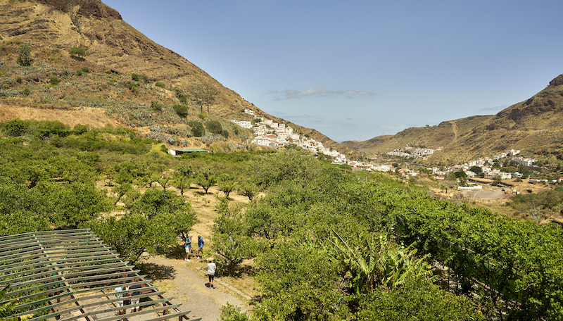 Café y vino se dan la mano en esta singular finca llamada La Laja
